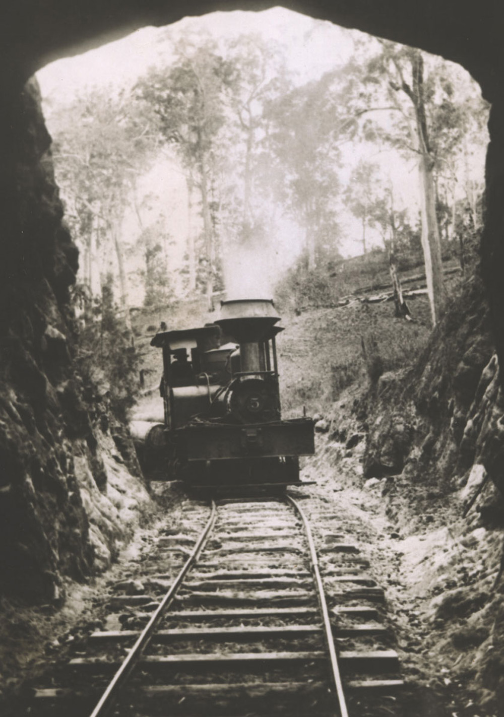 How Flying Fox Valley Got Its Name | Country Mile Escape