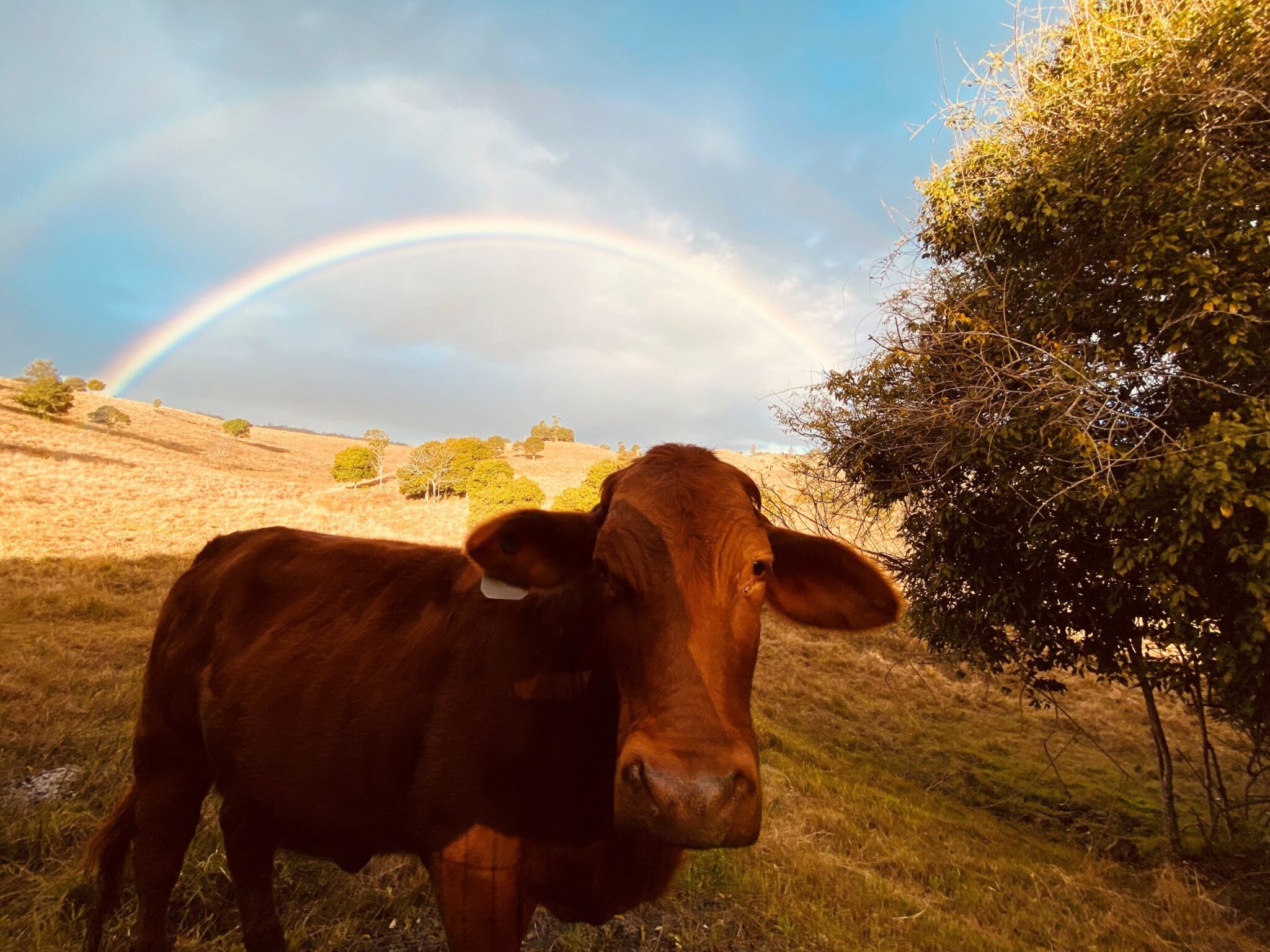 Photo Competition 2023 | Country Mile Escape