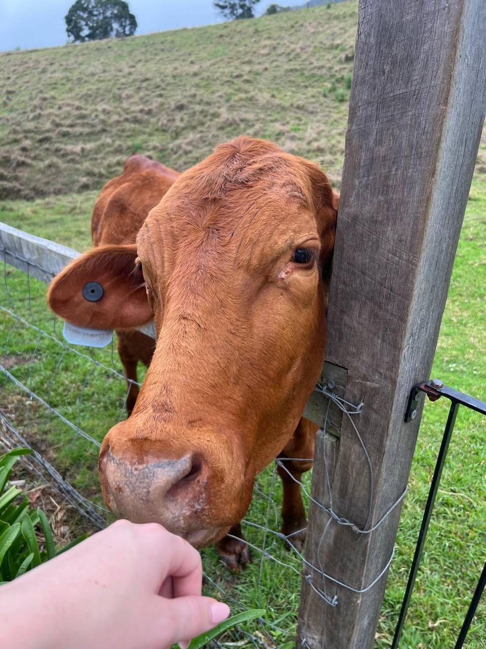 Photo Competition 2023 | Country Mile Escape