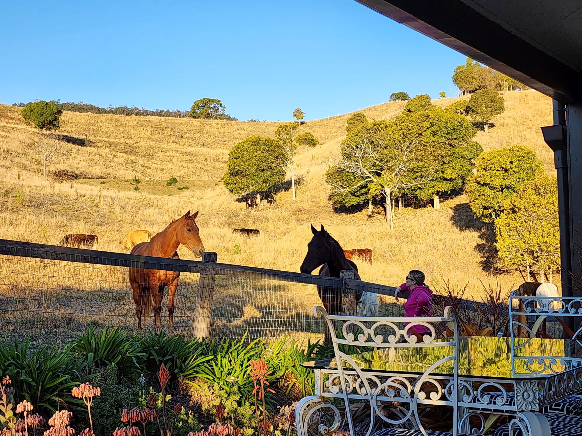 Photo Competition 2023 | Country Mile Escape